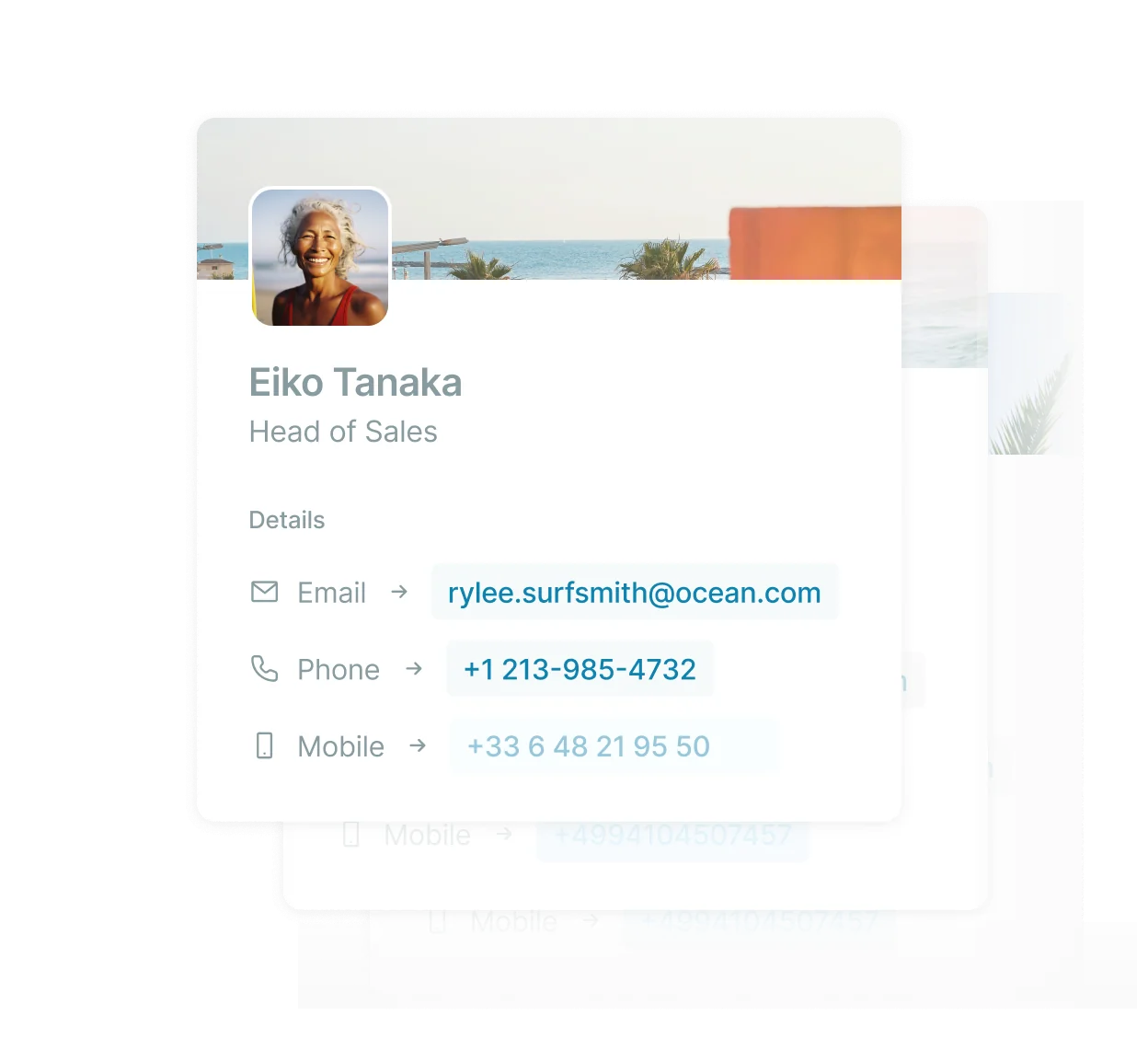 Waterfall Data Enrichment - 93% Find Rate | SURFE